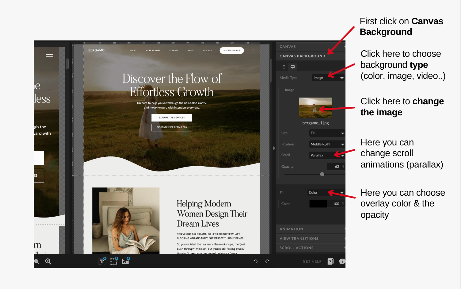 Changing Canvas Background (Color, Image or Video) | Designorina